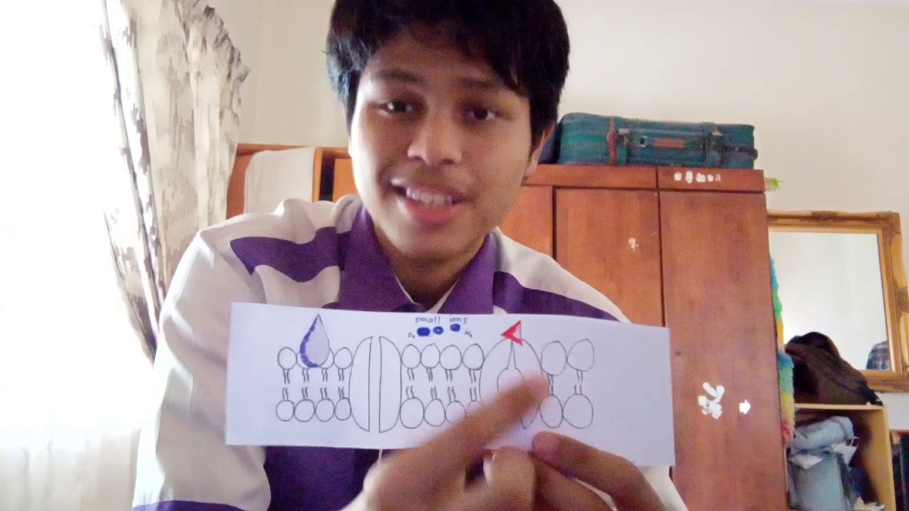 PLASMA MEMBRANE F4 -XENOTRIBE 2020 (e-BIO OUTREACH) SBPI GOMBAK - YouTube