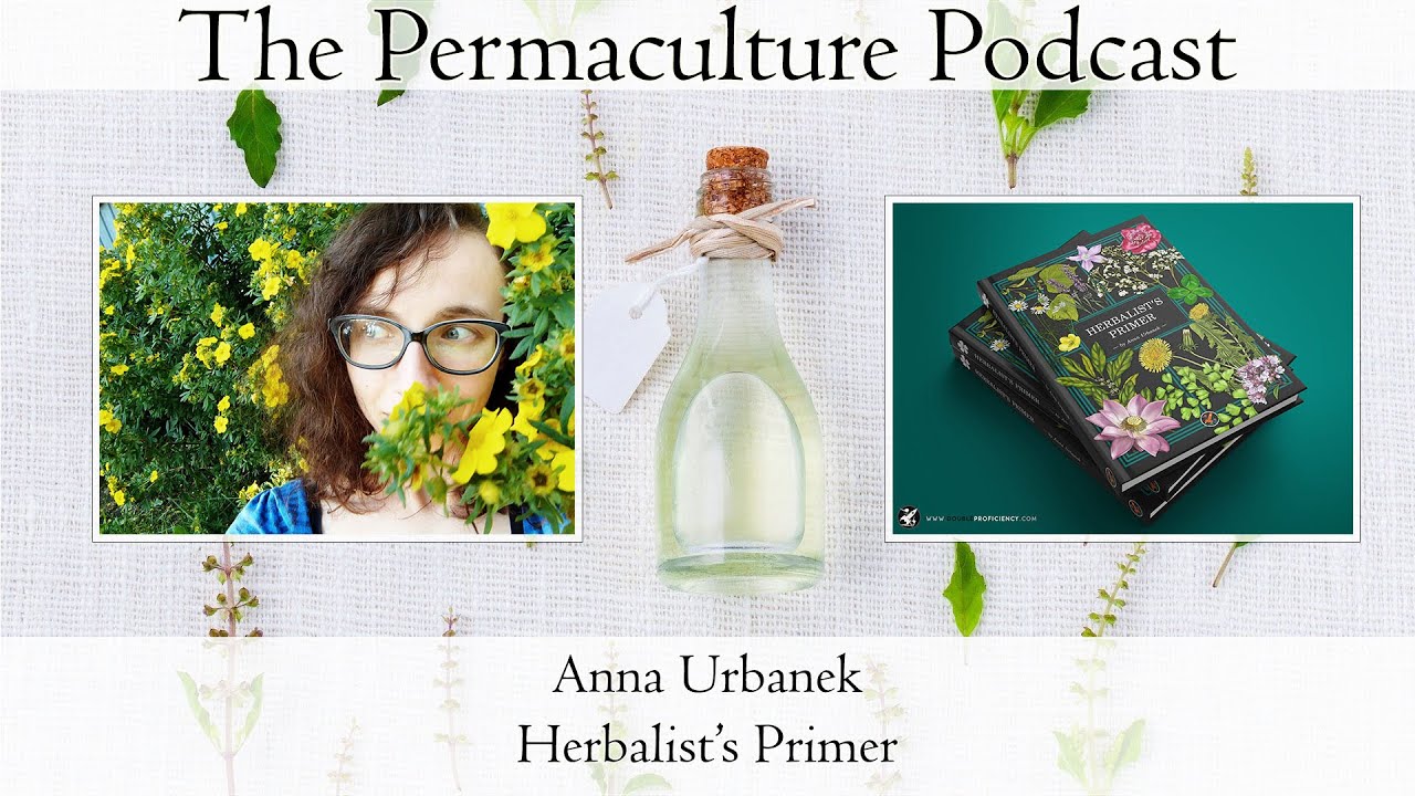 Anna Urbanek - Herbalist's Primer - YouTube
