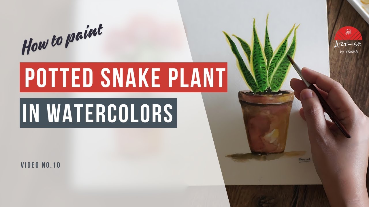Easy Watercolor Tutorial: Paint a Potted Snake Plant – Fun & Simple ...