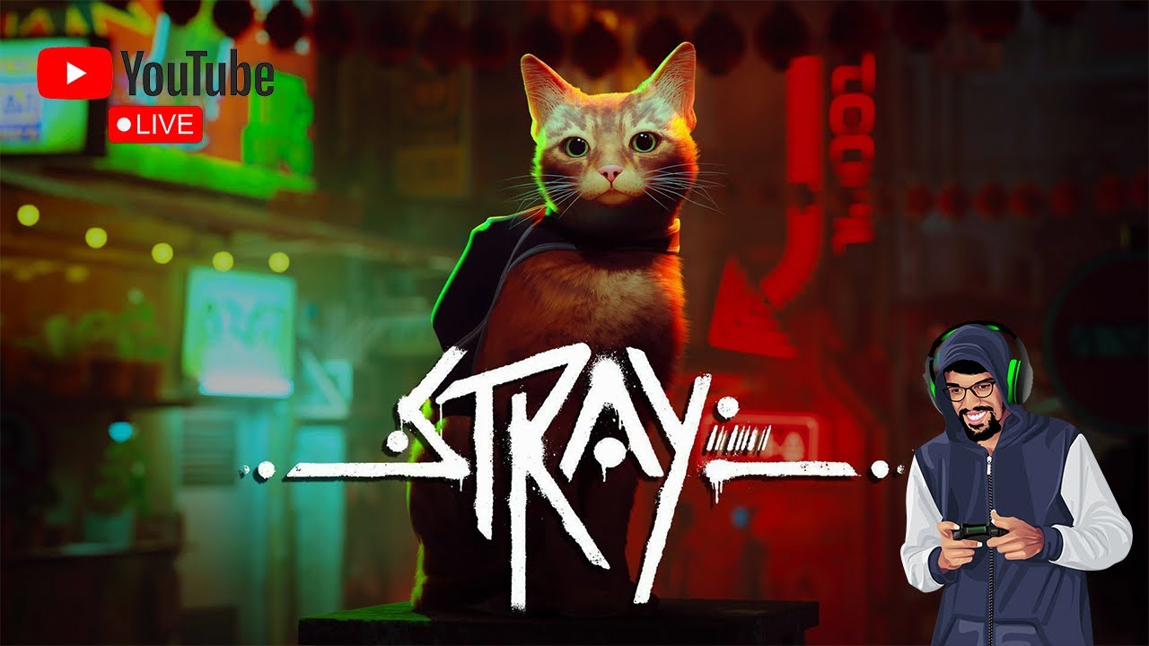 CAT IS THE HERO STRAY LIVE | SURVIVAL MOIN YT IS LIVE | #cat #stray # ...