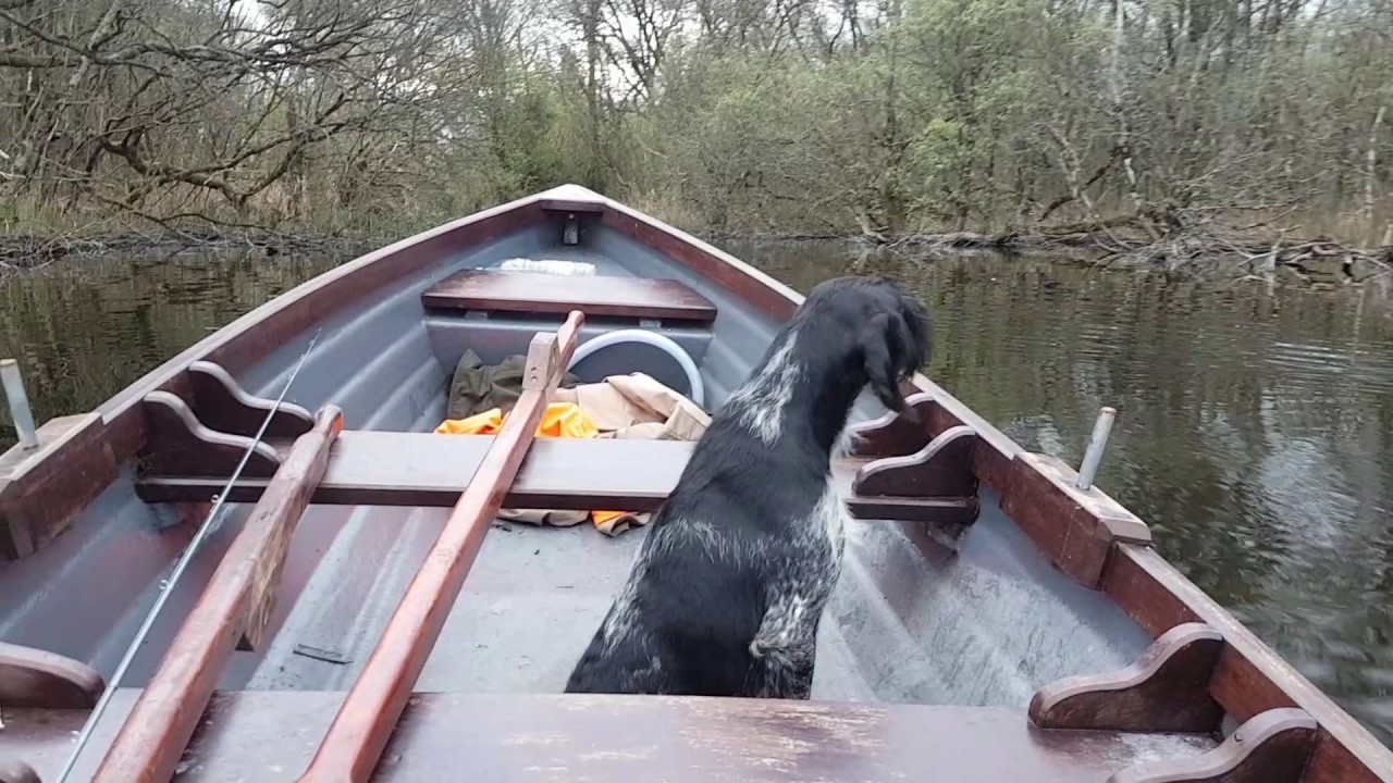Lough Arrow County Sligo Ireland - YouTube