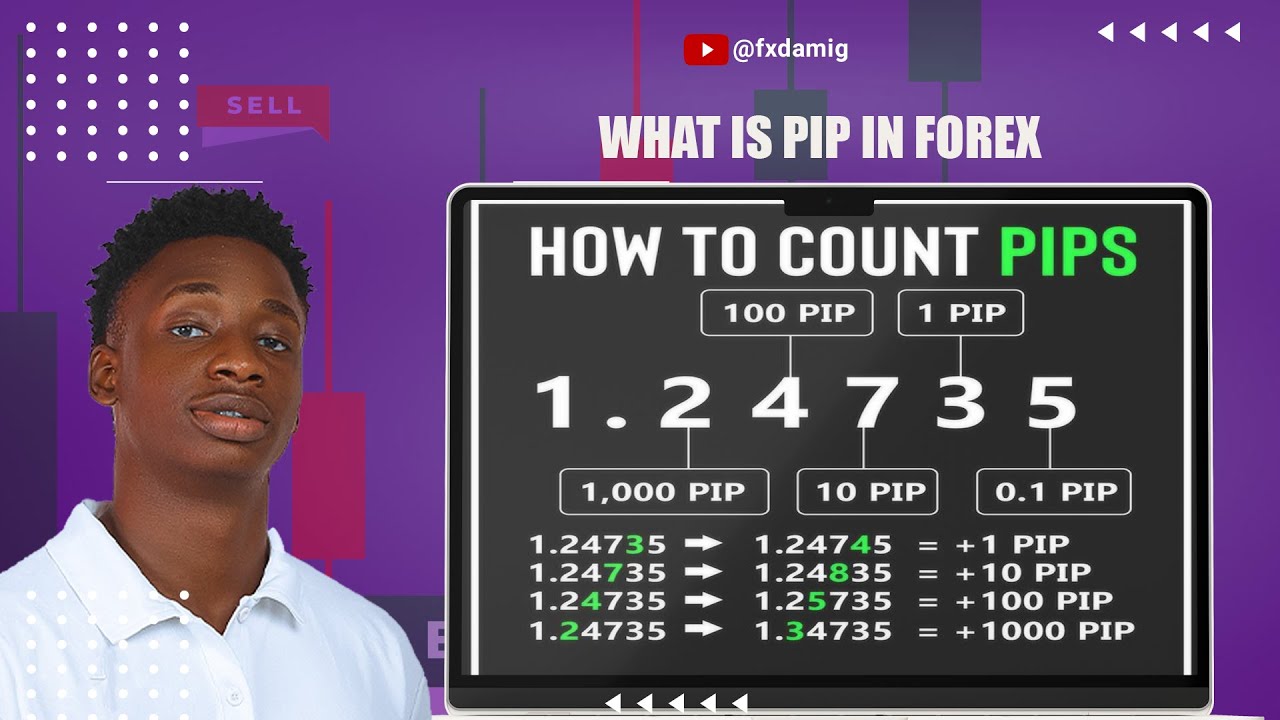 HOW TO CALCULATE PIPS in the FOREX MARKET - YouTube