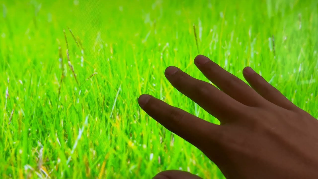 "touch grass" - YouTube