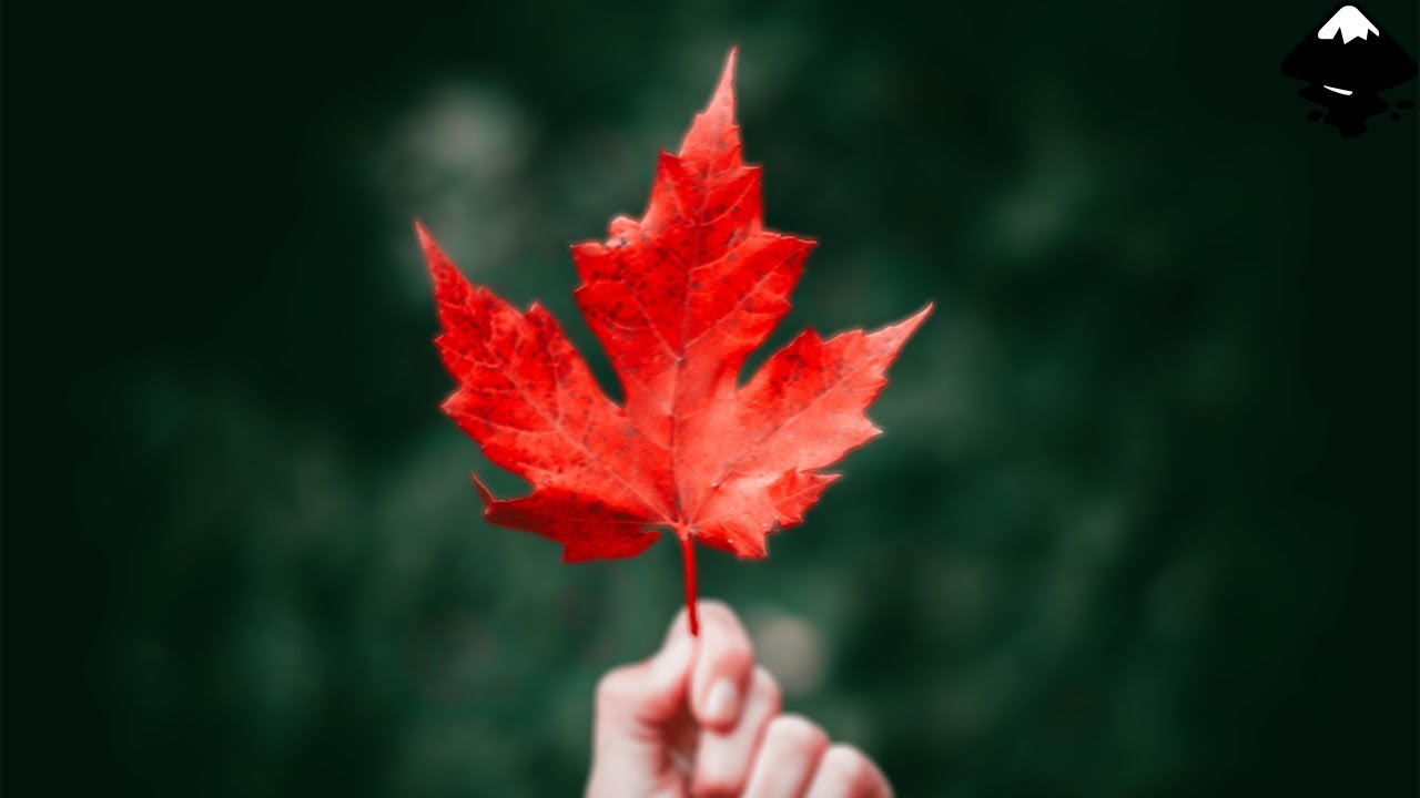 How to blur the background of an image in Inkscape - YouTube