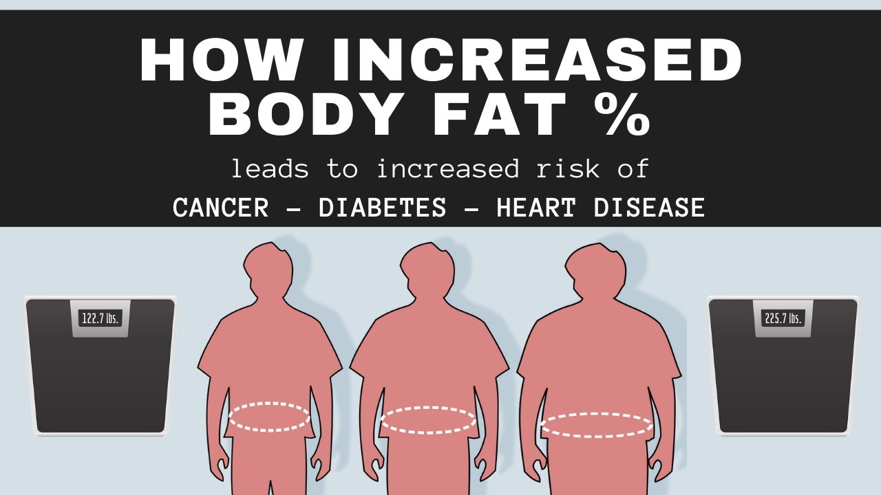 How Increased Body Fat % leads to Increased Risk of Cancer, Diabetes ...
