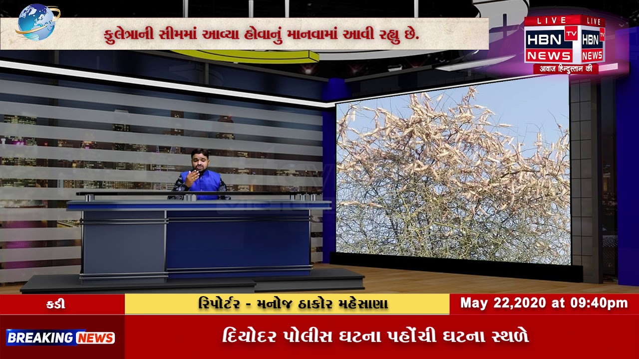 કોરોનાના ભય વચ્ચે કડી તાલુકામાં તીડ દેખાયા હોવાનું સામે આવ્યું છે ...