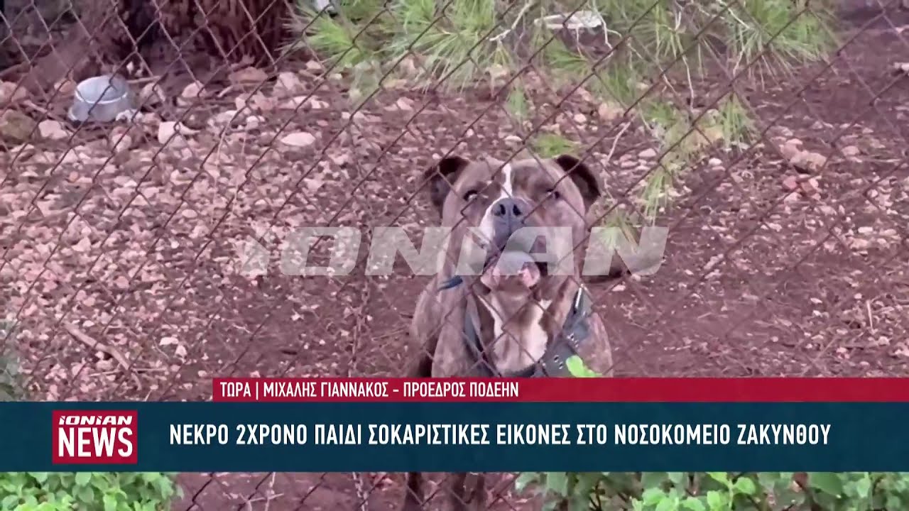Ζάκυνθος | Ανείπωτη θλίψη για την τραγωδία με το 2χρονο αγόρι - Το ...