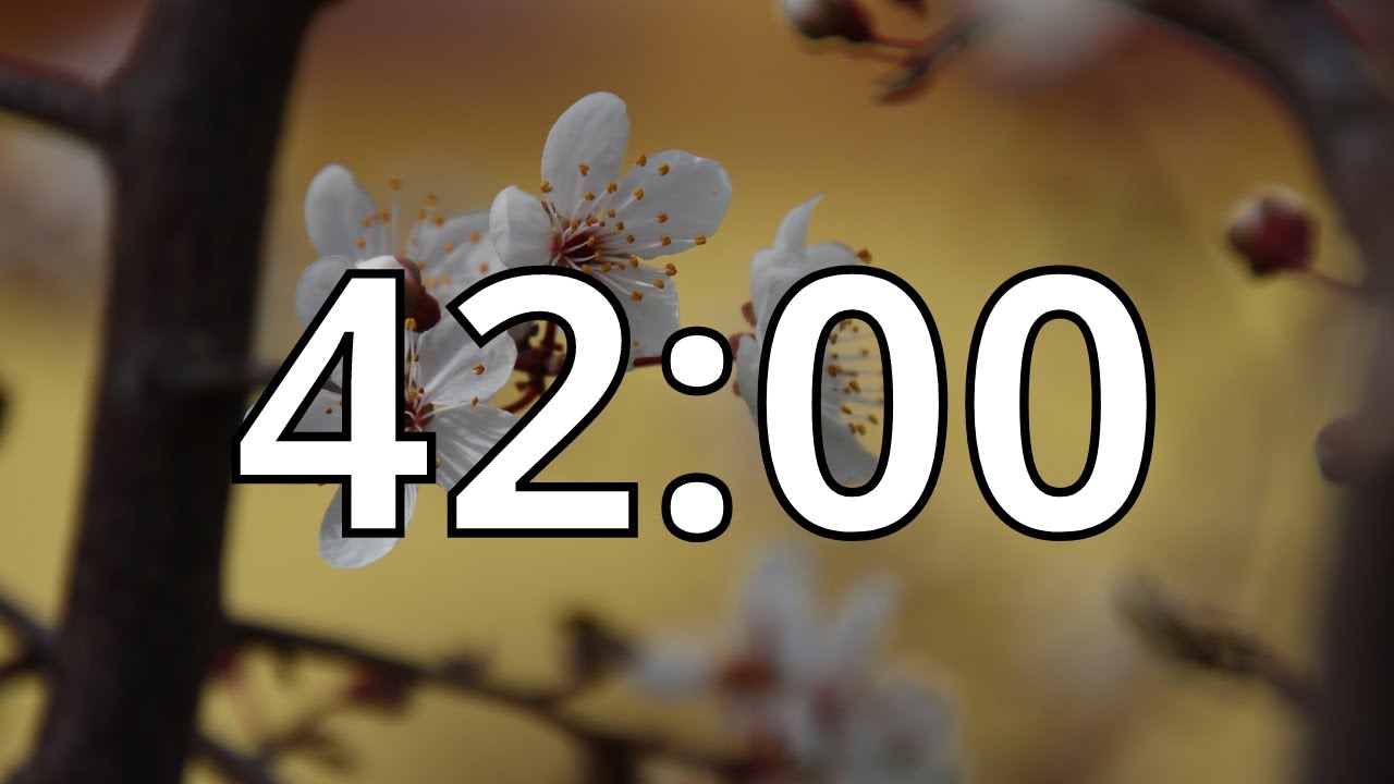 42 Minutes Timer with Music | Cherry Blossom Timer - YouTube