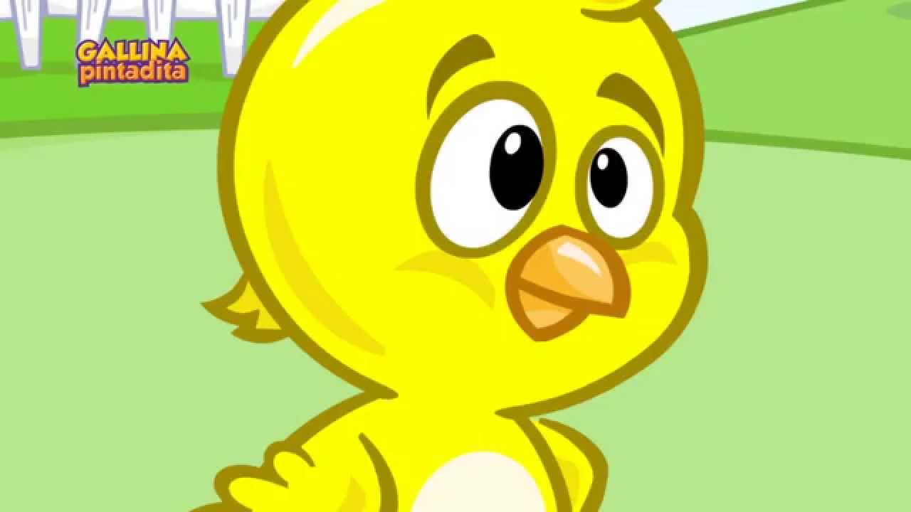 Pollito Amarillito - Gallina Pintadita - videos para bebés - YouTube