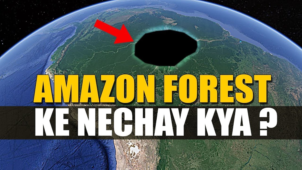 Mysterious View Of Amazon Jungle Brazil | Amazon Jungle Mystery - YouTube