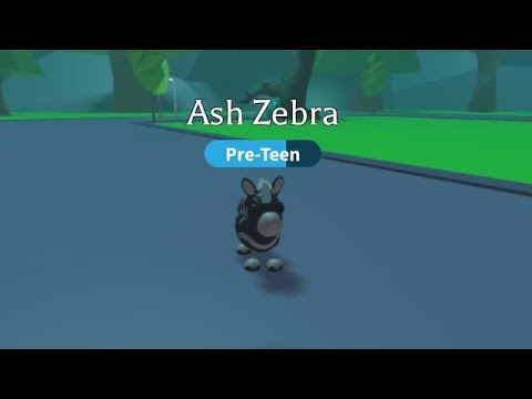 ASH ZEBRA RELEASED IN ADOPT ME! (Roblox) - YouTube
