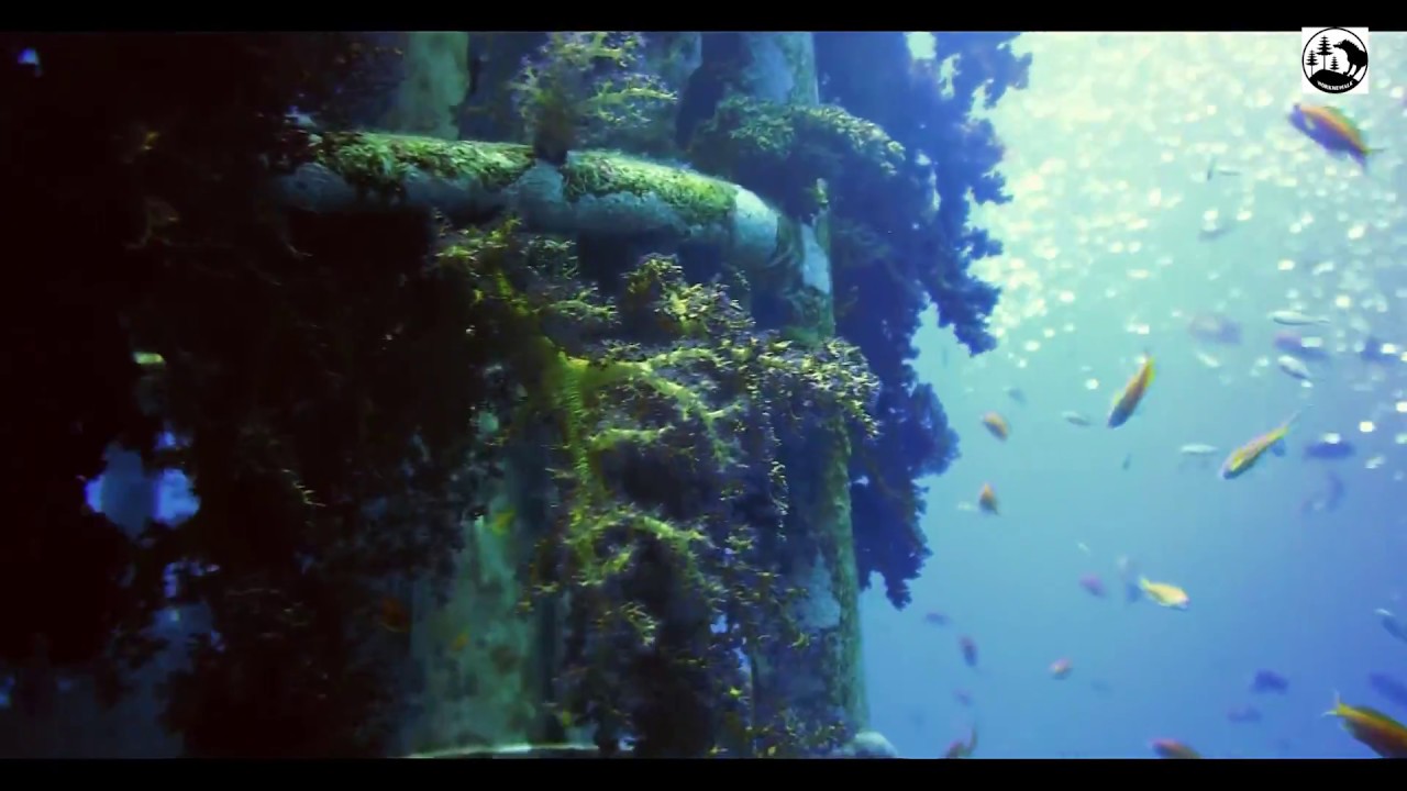 satil wreck - YouTube