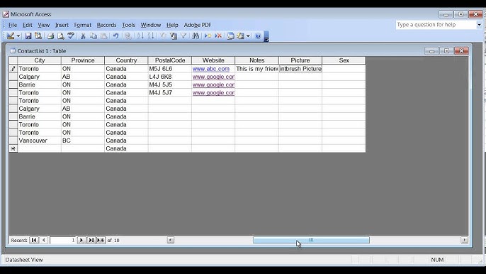 Microsoft Access 2003