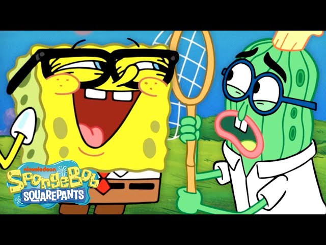 Kevin Spongebob Memes Kervin Memes & GIFs Imgflip