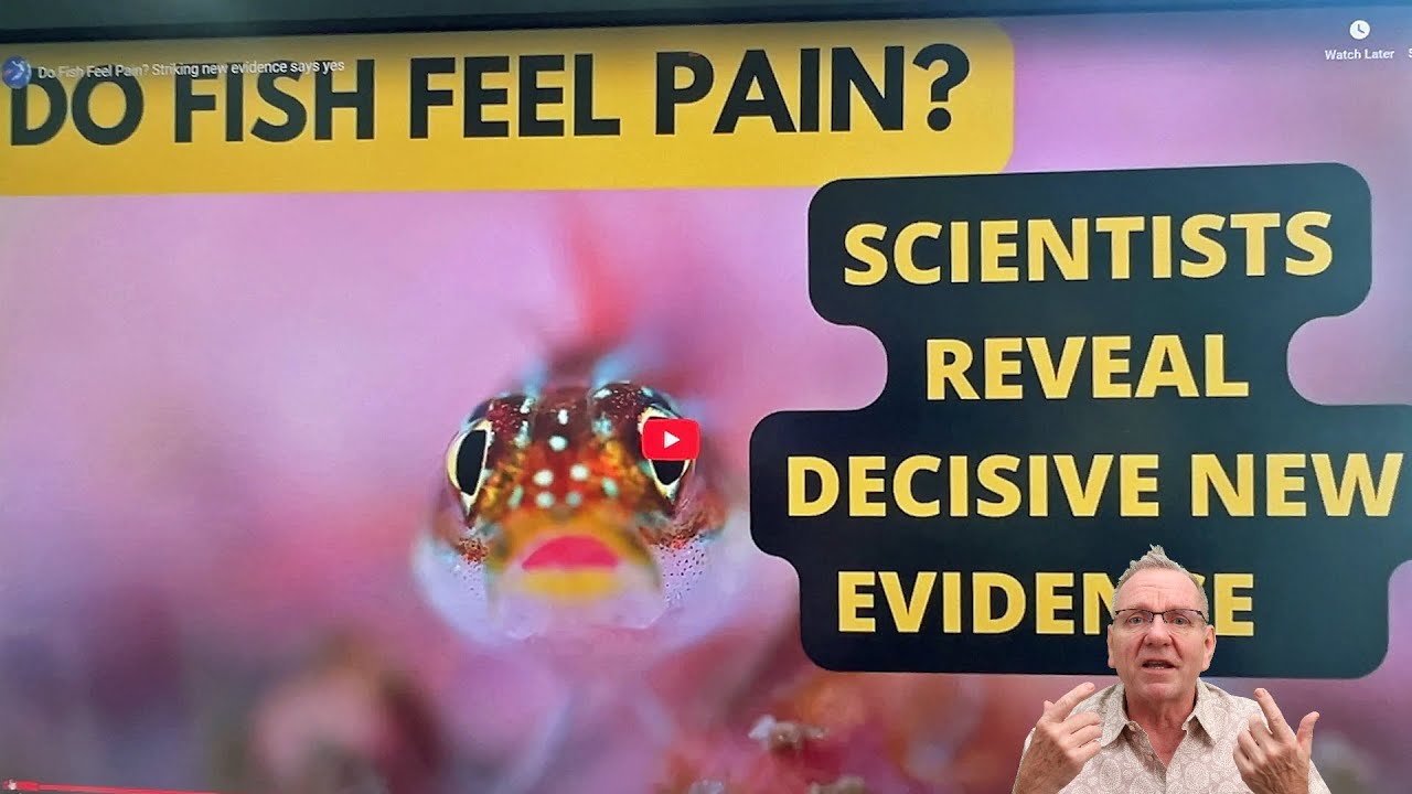 Fish Feel Pain! The Power of Omissions. Part 1 - YouTube