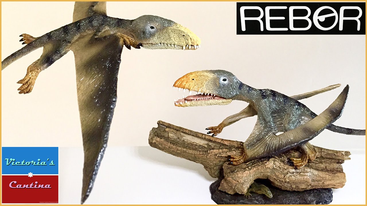 REBOR "Punch and Judy" Dimorphodon Diorama Review - YouTube
