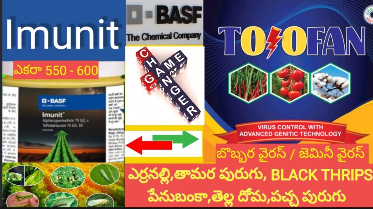 #IMUNIT BASF కొత్త మందు దేనికి పనిచేస్తుంది #TOOFAN జెమినీ వైరస్ మందు ...