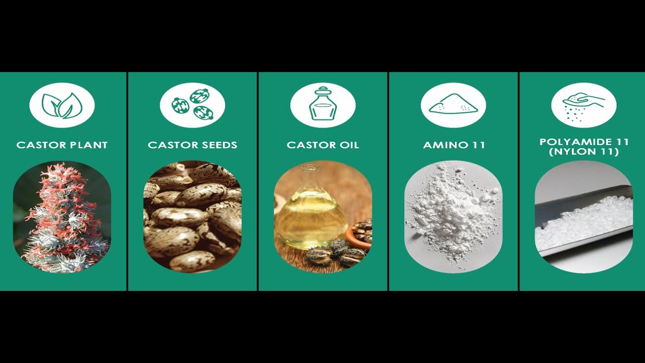 Magic of Nylon 11 Coating (RILSAN Fine Powder) 100% Advanced Biobased ...