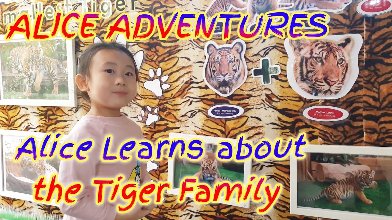 Alice's Adventures 003: Alice Teaches how to Play with Tigers and ...