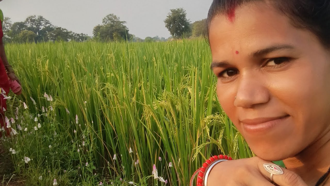 Santoshi Sahu is live! aajaye aap sabhi ka swagat hai mere live me🙏🙏🙏🙏🙏 ...