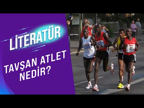Literatür 17. Bölüm: Tavşan Atlet Nedir?