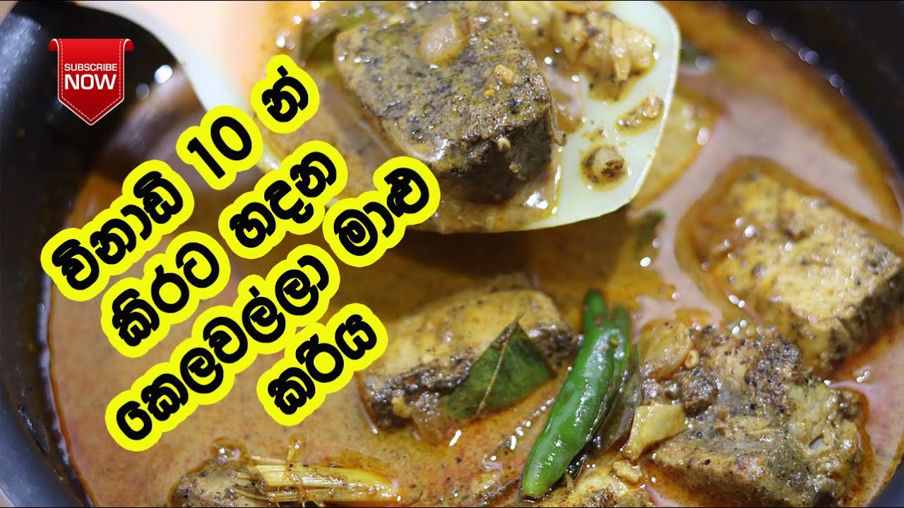 කෙලවල්ලා මාළු කිරට හදමු - Kelawalla Malu | Kelawalla Malu Kirata | Tuna ...