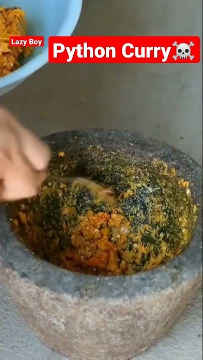 Python Curry ☠️Indonesia #shorts #viral #youtubeshorts #youtube #video ...