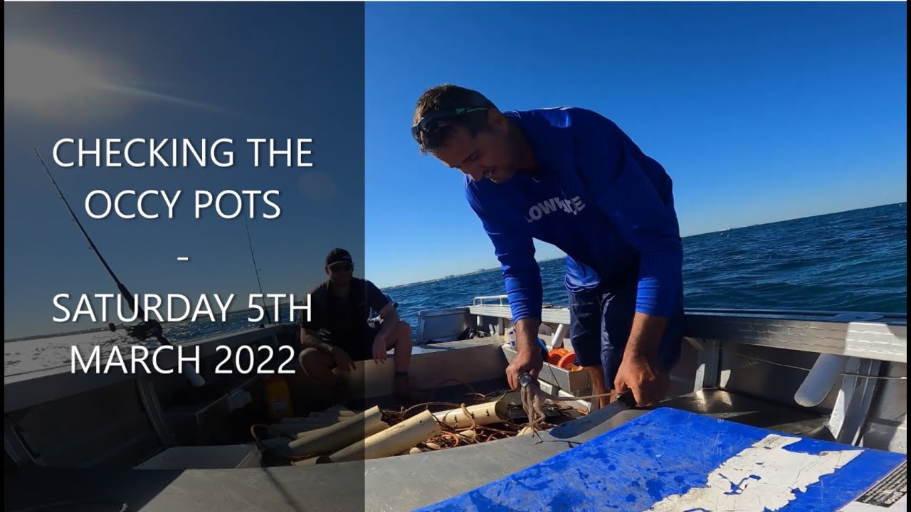 Yet another occy pot pull! - Small Boat BIG Adventures - YouTube