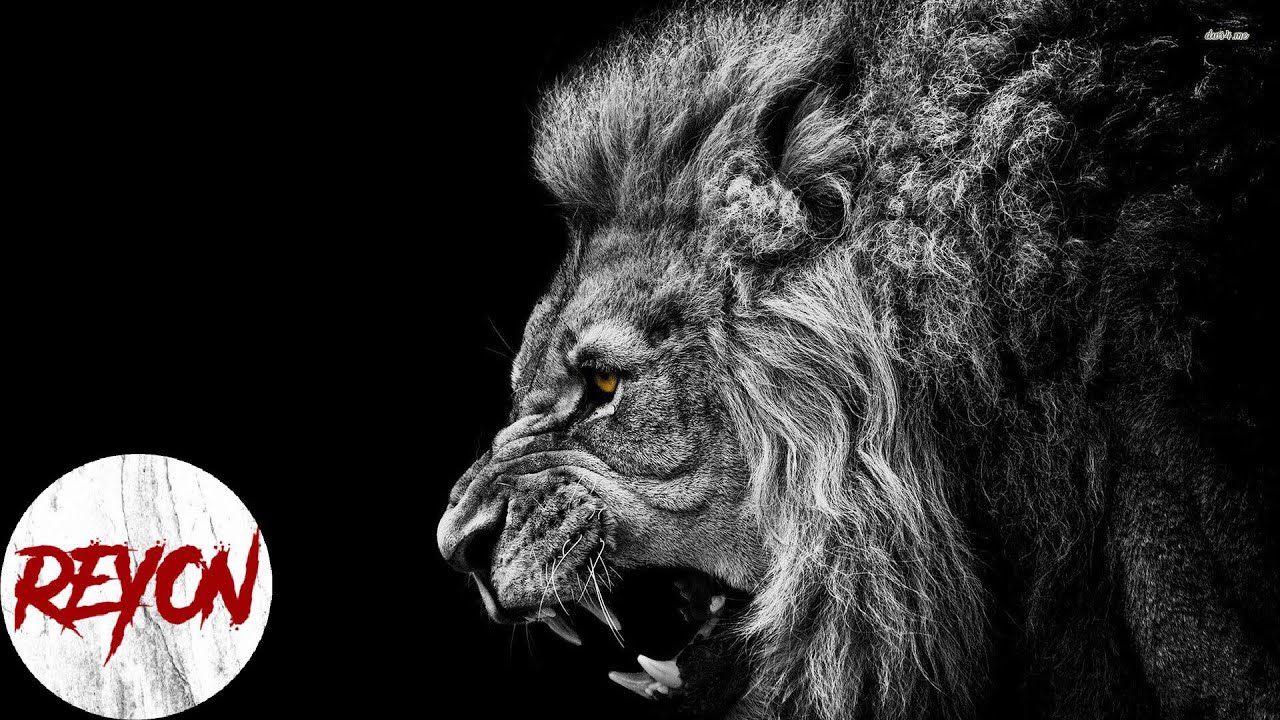 Reyon - The Lion's Wrath - YouTube