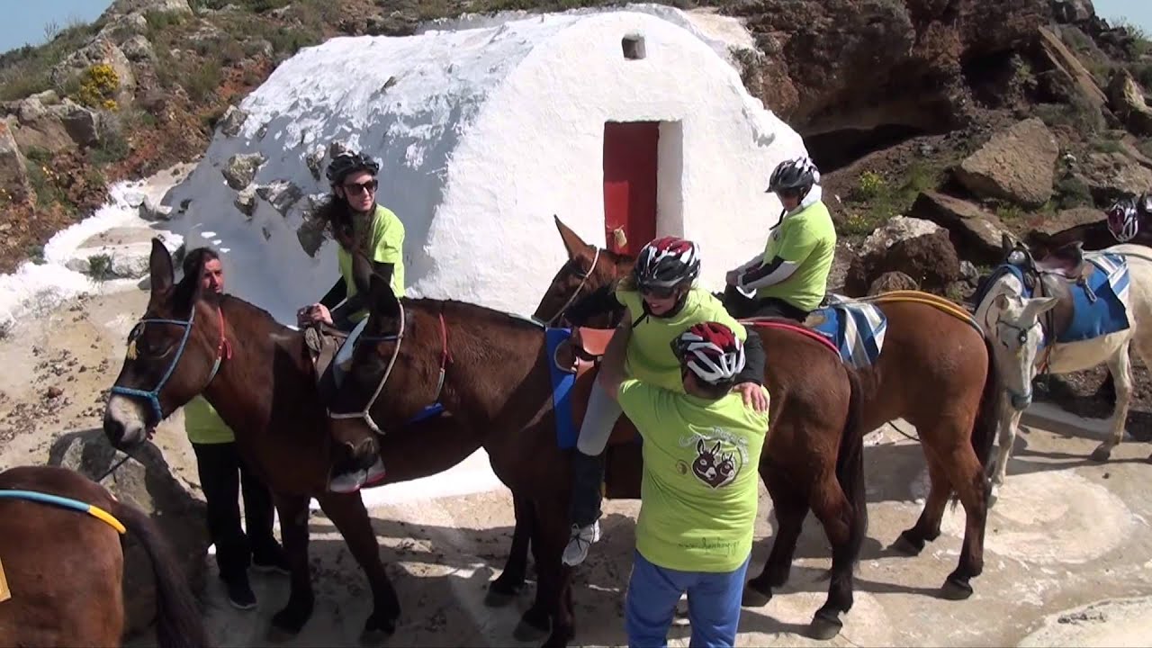Donkey Tours - YouTube