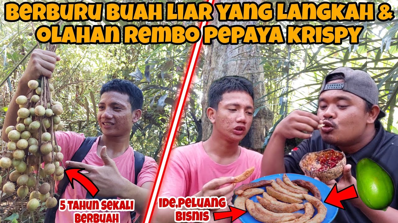 WAJIB COBA‼️OLAHAN PEPAYA MUDA KRISPY YANG NIKMAT & BERBURU BUAH LIAR ...