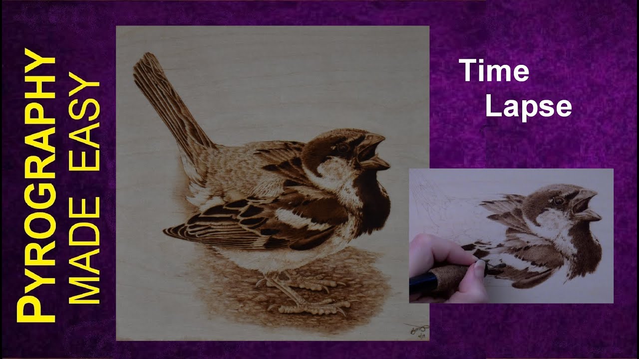 Wood Burning Art - Little Beggar House Sparrow bird - pyrography time ...