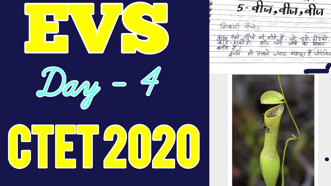 CTET 2020 EVS 5th Class NCERT YouTube ctet-2020-evs-5th-class-ncert-youtube