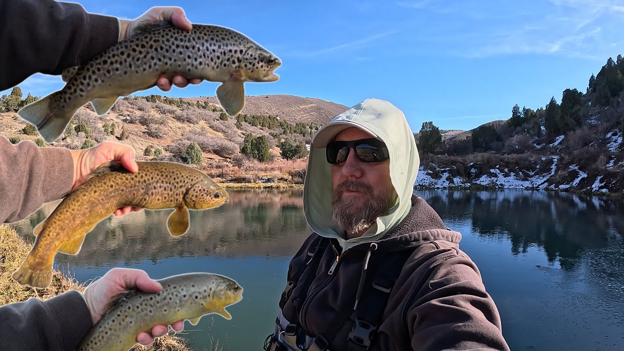 Stream Fishing & Secret Pond - YouTube