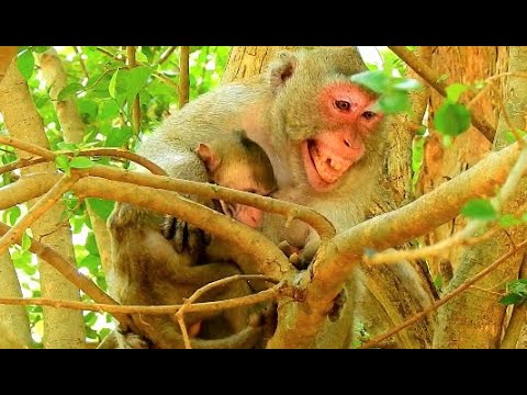 Who make Jane angry like this ? Mom Jane very terrified | Jane got ...