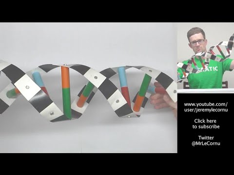 What is DNA? - YouTube