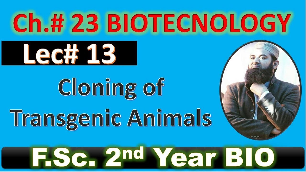 Cloning of Transgenic animals I biotechnology I CH#23 I Lec# 13 I F.SC ...