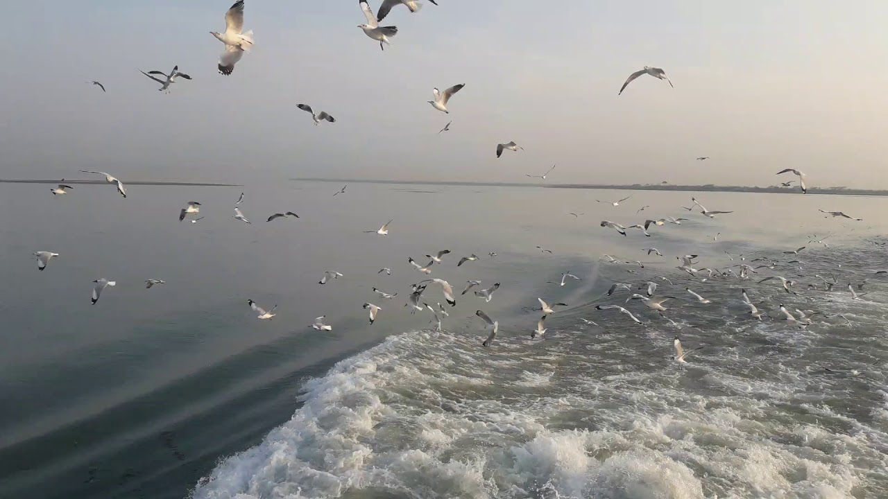 Barisal to Dhaka Journey by Green line Water Bus - YouTube