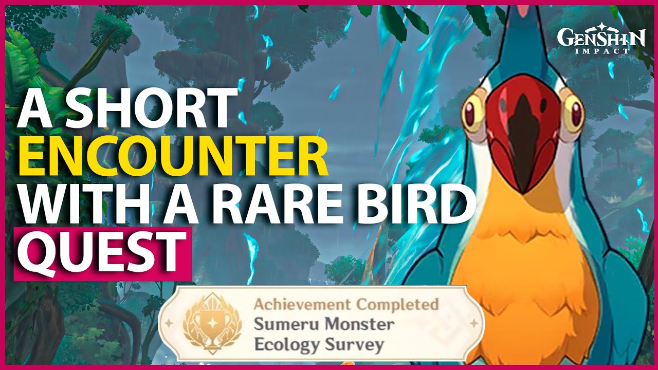 A Short Encounter With a Rare Bird World Quest Shefket & Hunt Dusk Bird ...