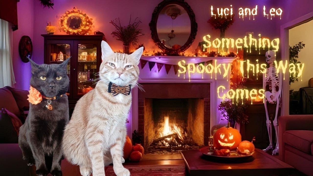 Luci and Leo - Something Spooky This Way Comes - YouTube
