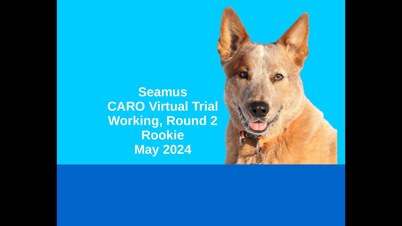 2024 05 CARO Working 2 - YouTube