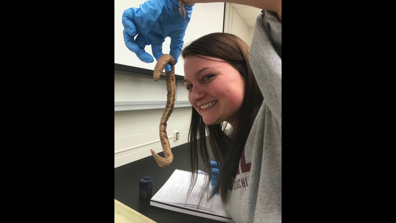 On Becoming an Ichthyologist - YouTube