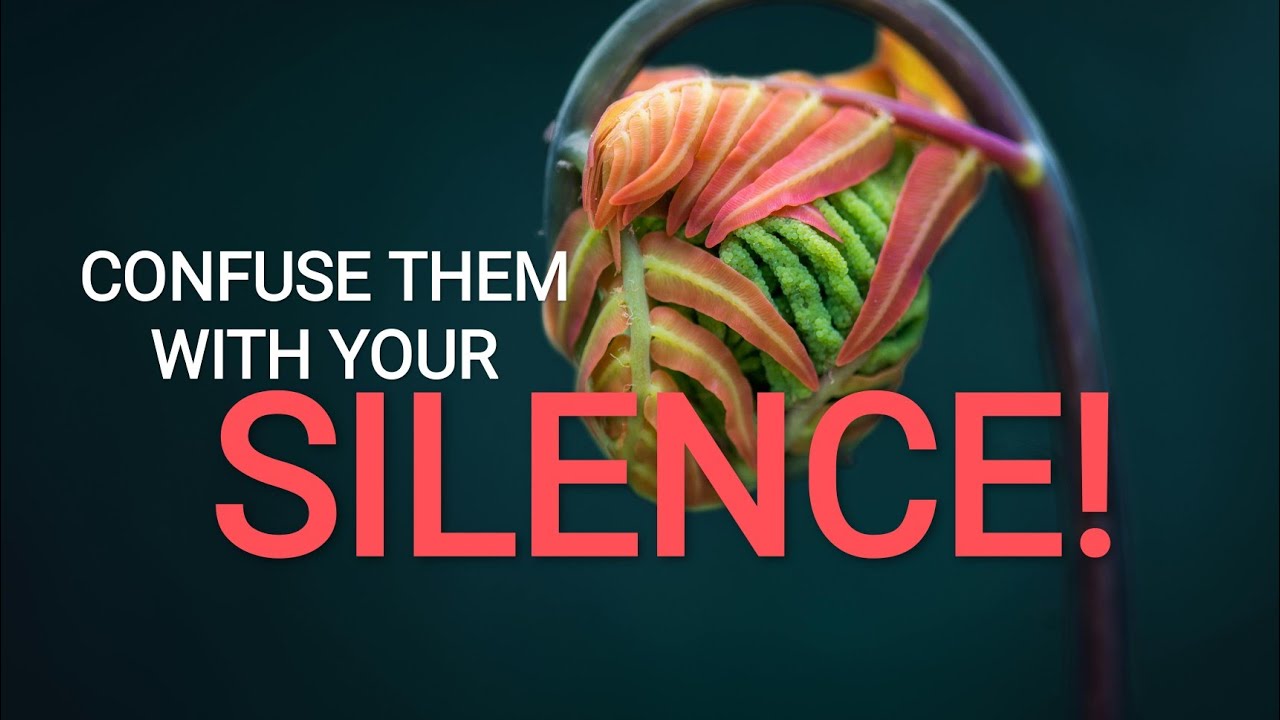 Be Silent Stop Being A Fool | Marcus Aurelius - YouTube
