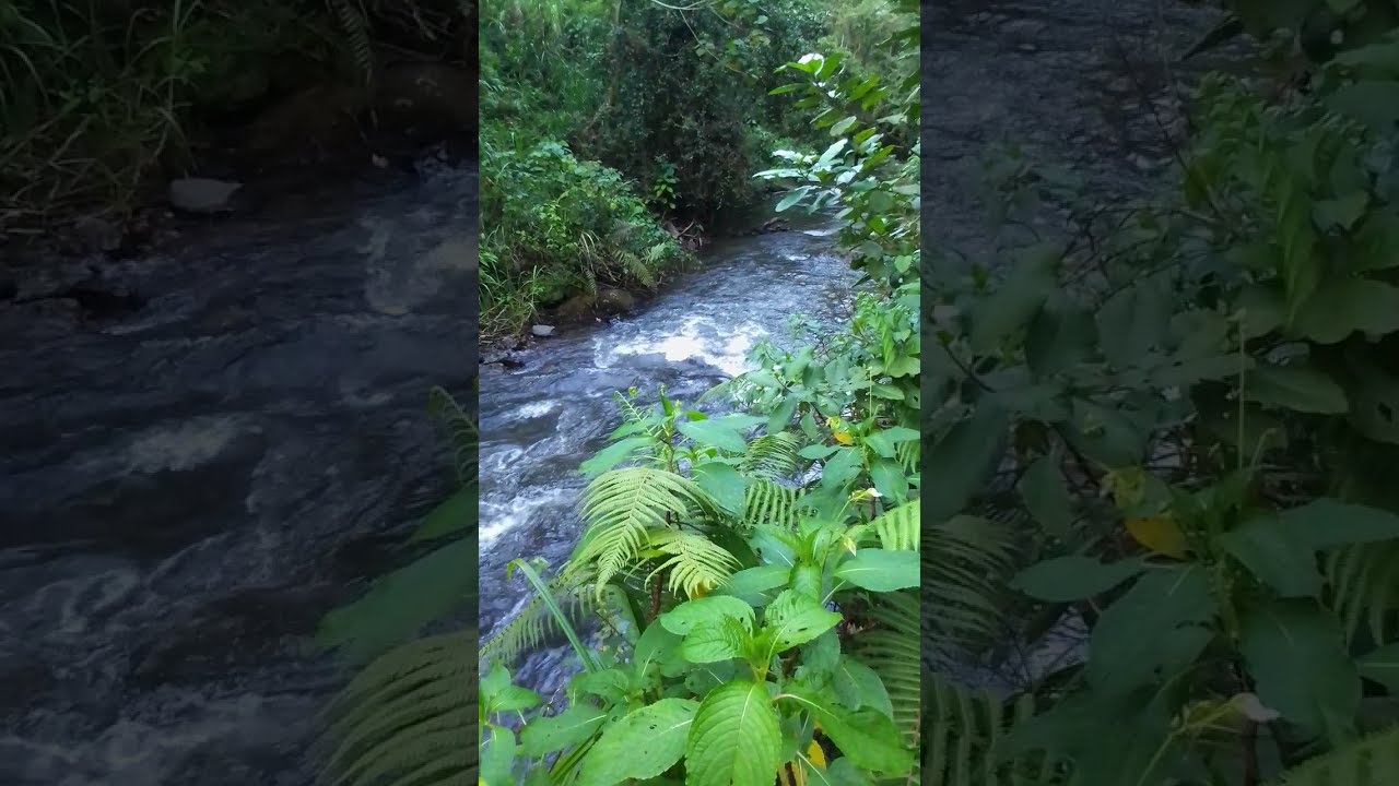 Undisturbed bends of River Kathita in Kenya. #Natural/Conserved ...