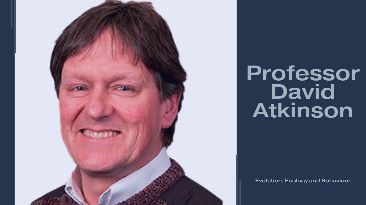 David Atkinson - Professor of Integrative Ecology - YouTube