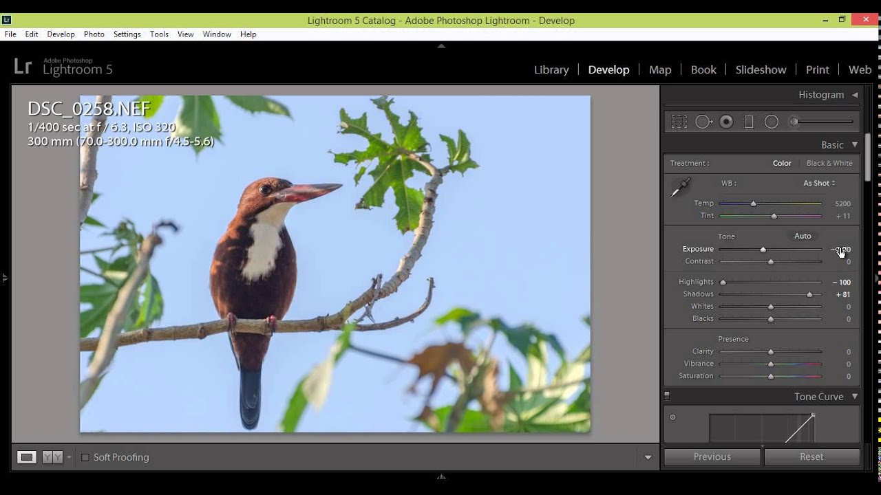 Lightroom 5 Tutorial | How to Edit Bird Photographs - YouTube