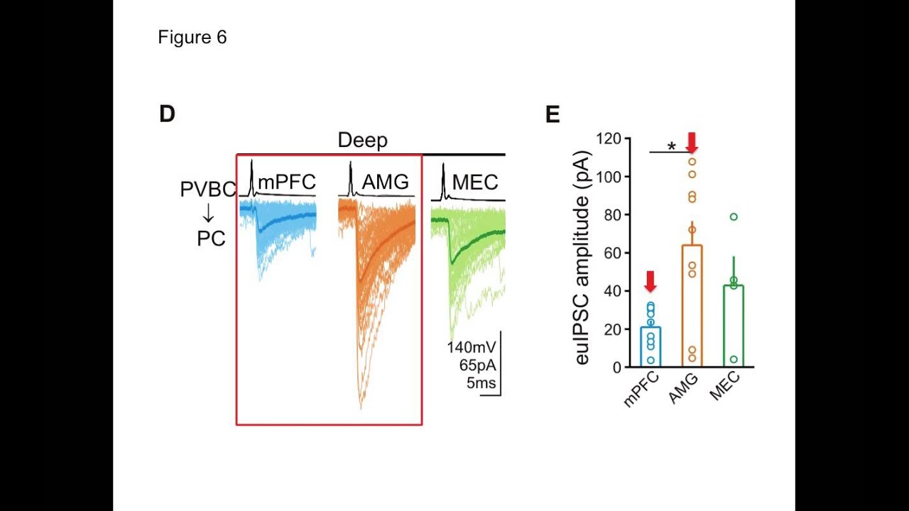Figure360: Cell Reports, Lee et al., Figure 6 - YouTube