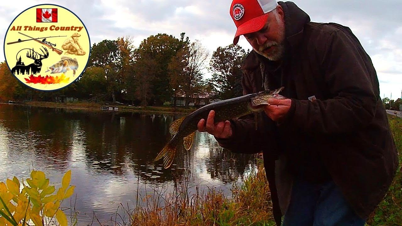 Crazy Action! Fishing for Fall NORTHERN PIKE!!! - YouTube