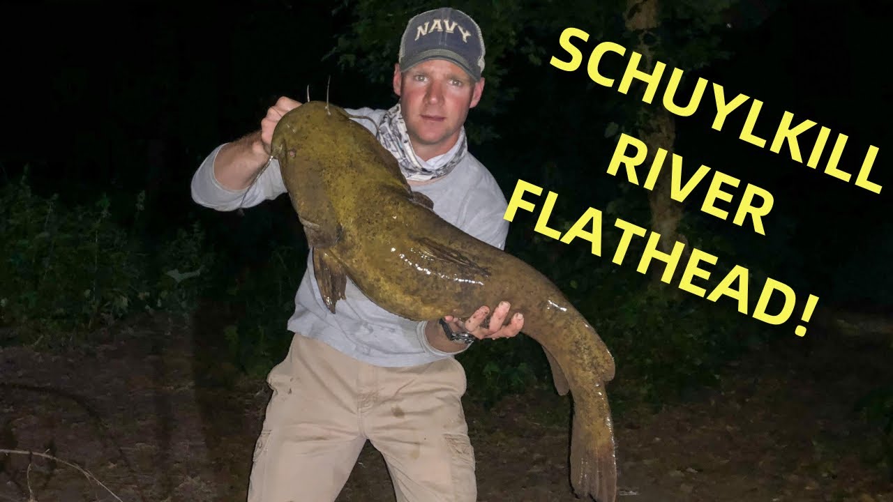 Schuylkill River Flathead Catfish (Night Fishing for Flatheads) - YouTube