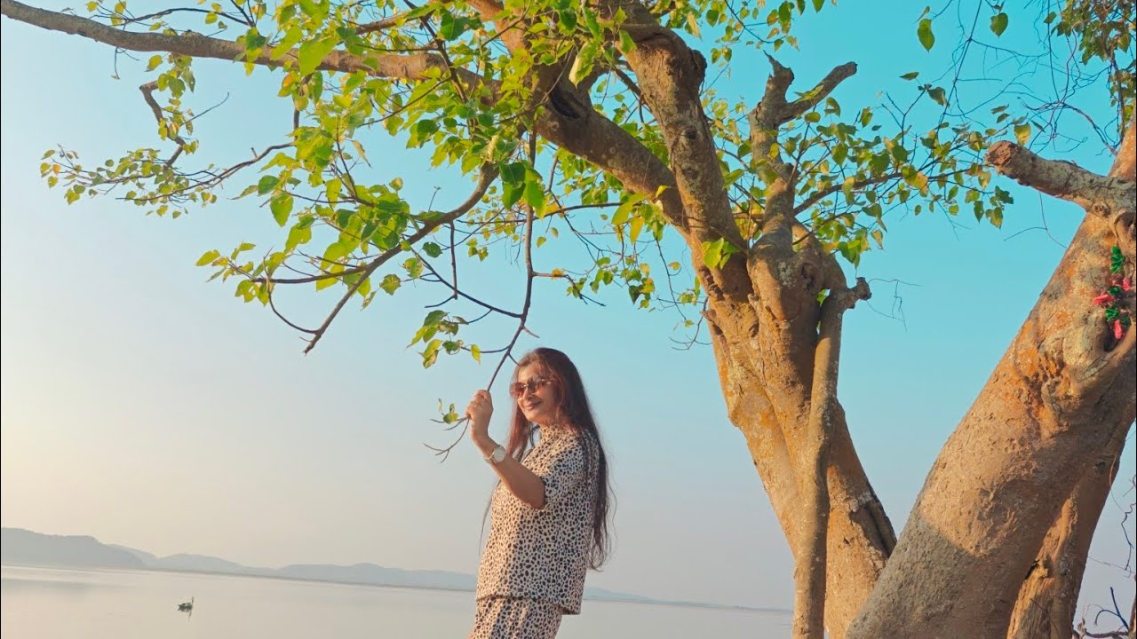 The Lonely Tree, Chandrapur Guwahati Assam - YouTube